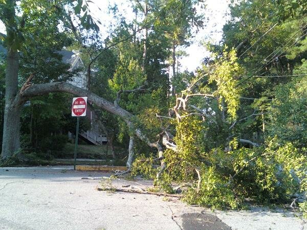Decatur Metro » Decatur trees down
